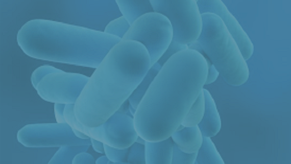 What is legionella? A guide for facilities management companies