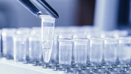 Water Sampling: The Full Process from Beginning to End